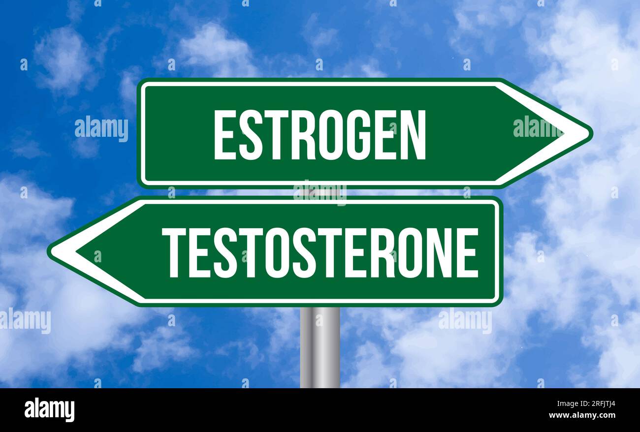 Estrogen or testosterone road sign on cloudy sky background Stock Photo ...