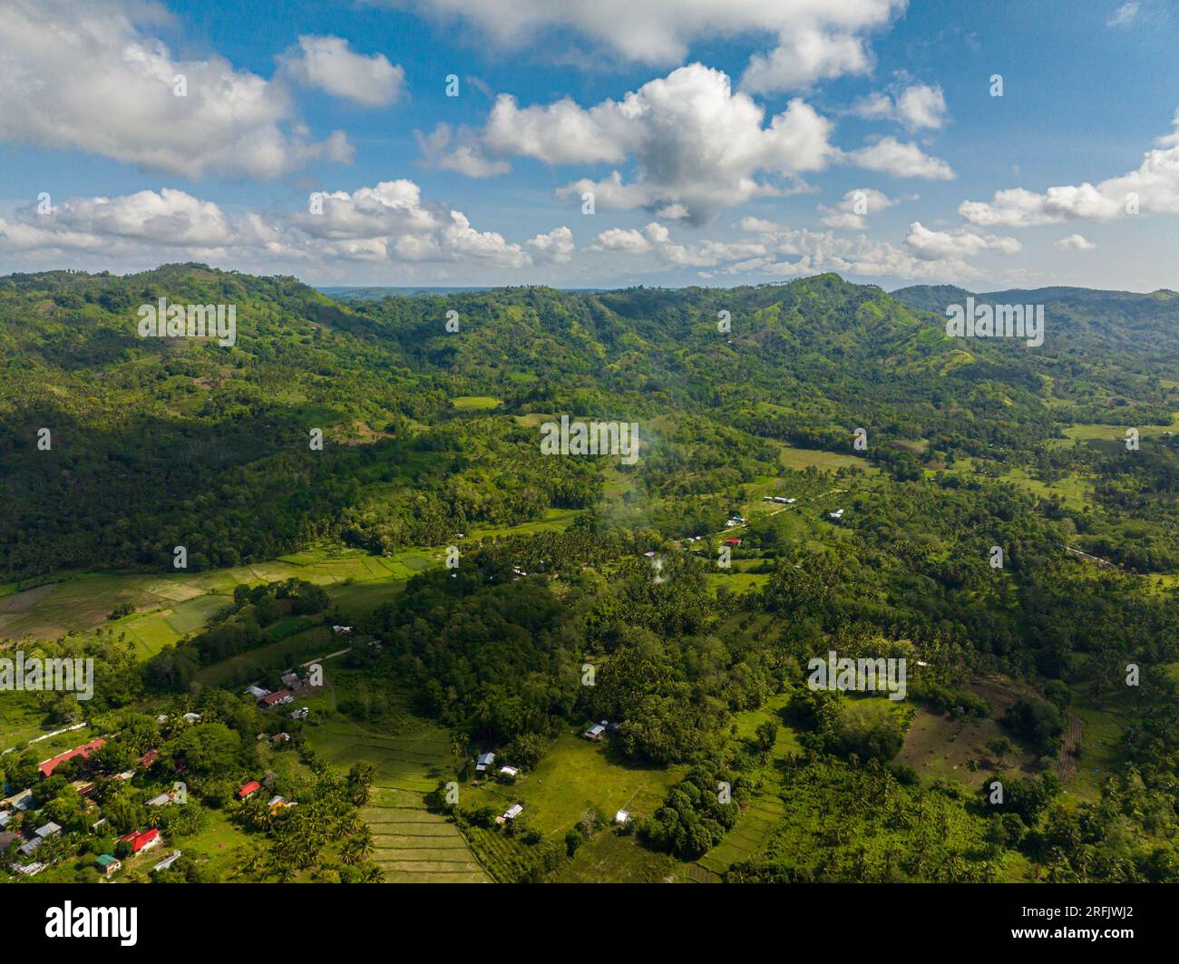 Tropical green forest in the mountains and jungle hills in the ...