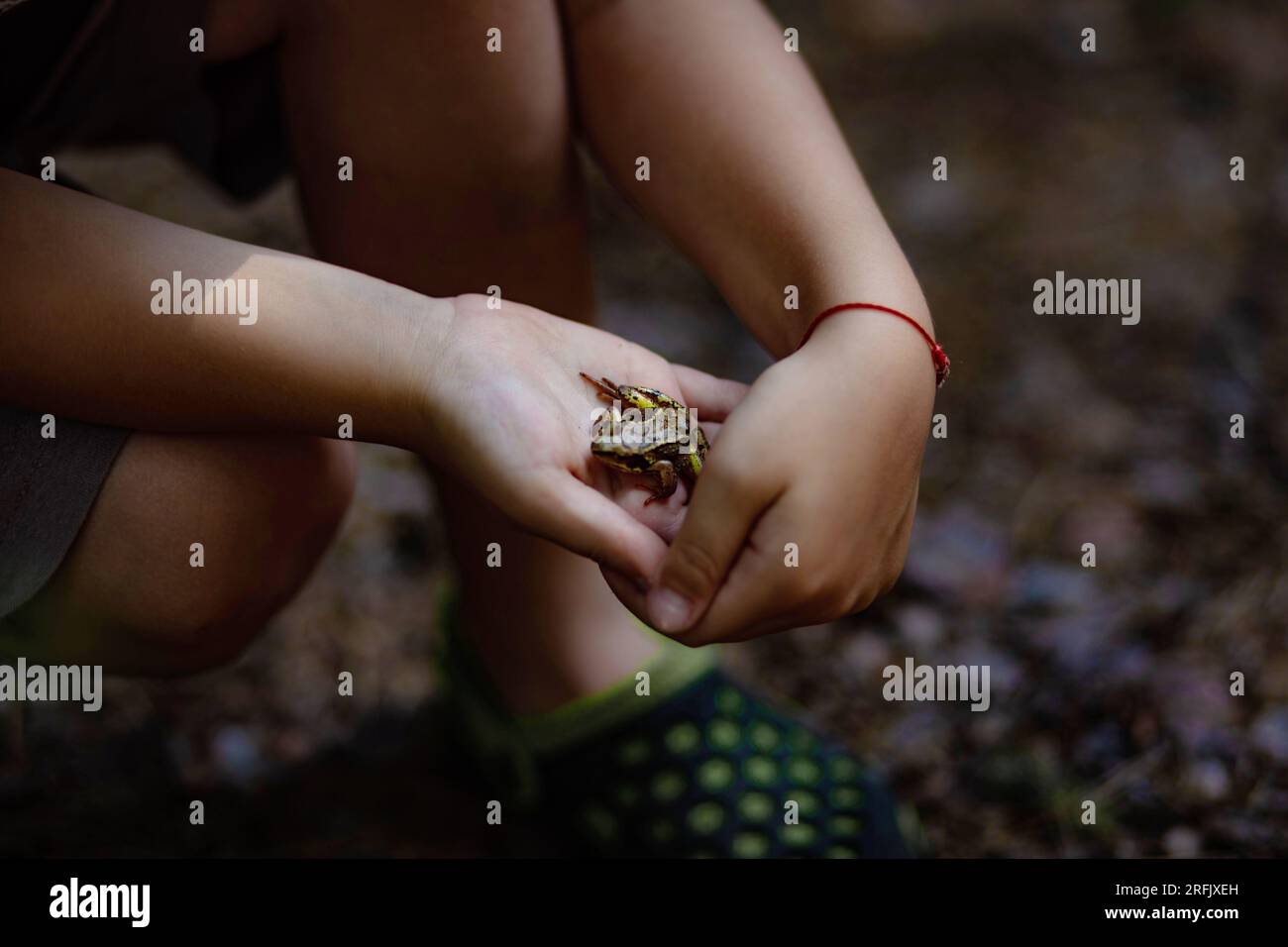 Aquatic palm forest hi-res stock photography and images - Alamy