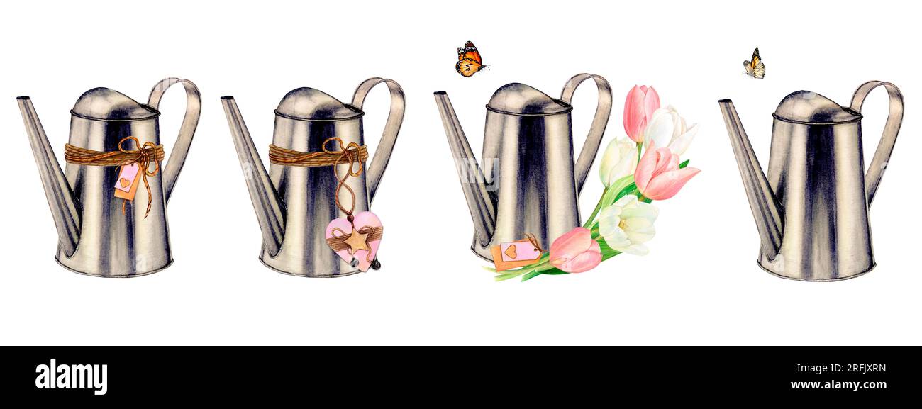 Watercolour drawn set of watering cans with beautiful pink and white ...