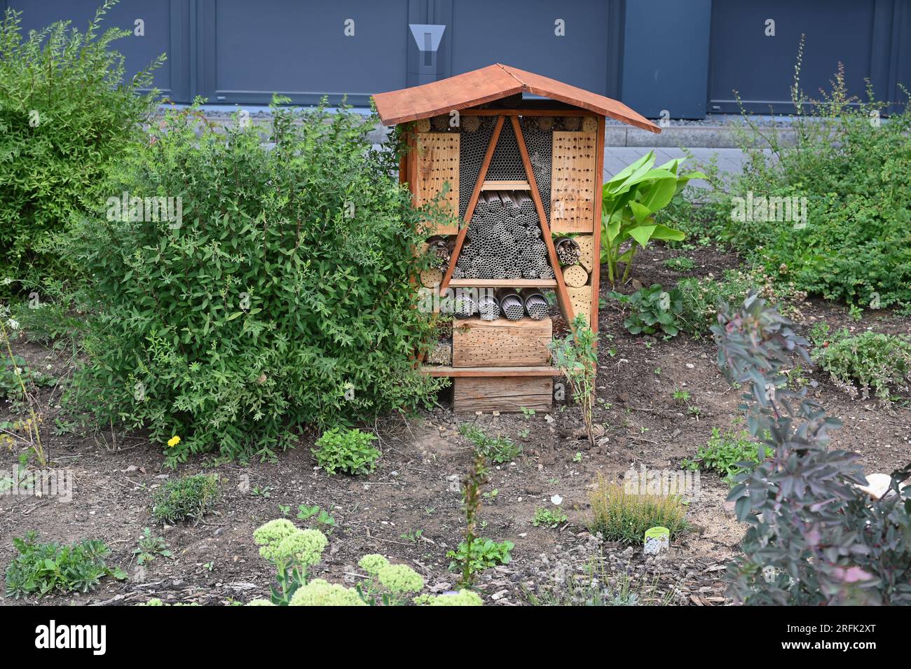Cologne, Germany. 30th July, 2023. Insect friendly bed with insect ...