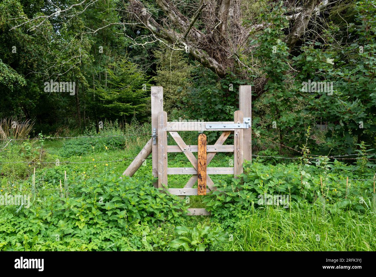 Wooden gate with private carved on it and barbed wire fence, overgrown ...