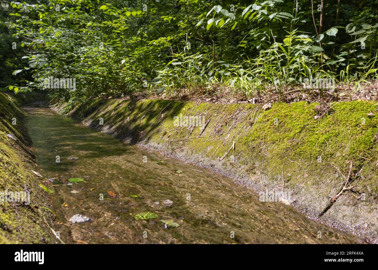Closeup quietly flowing river hi-res stock photography and images - Alamy