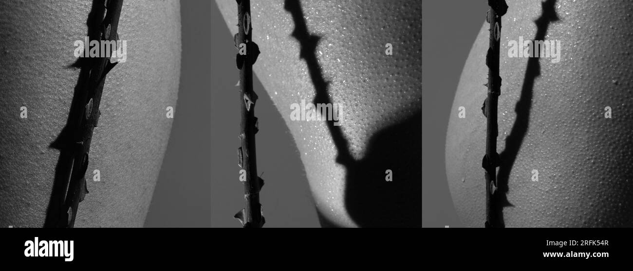 Black and white, monochrome image of tender female body with branch ...