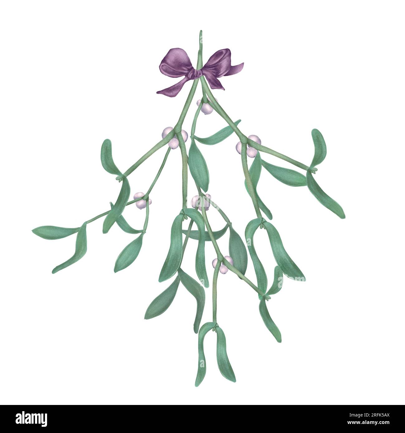 Branch of mistletoe with berries and bow digital illustration ...