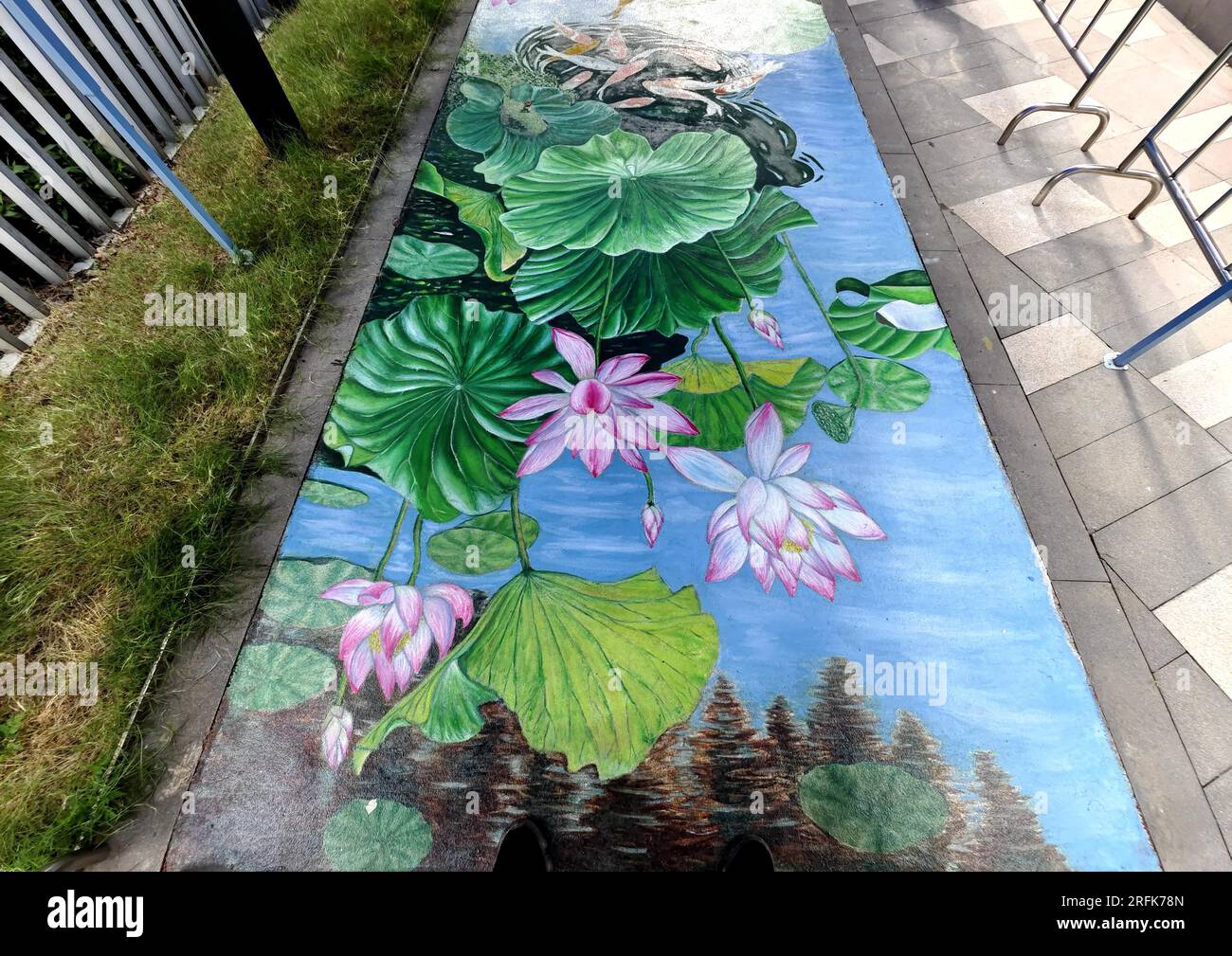 A 3D painting of fish pond in summer appears on a road in Wuhan City ...
