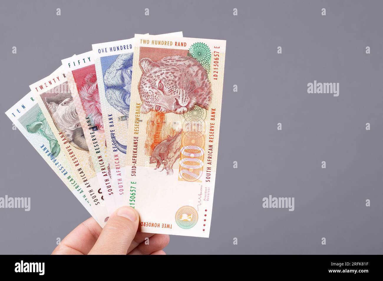 Old South African money - rand in the hand on a gray background Stock ...
