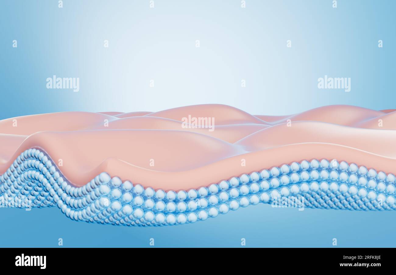 Skin tissue and cells, skin treatment, biology and medicine concept, 3d ...