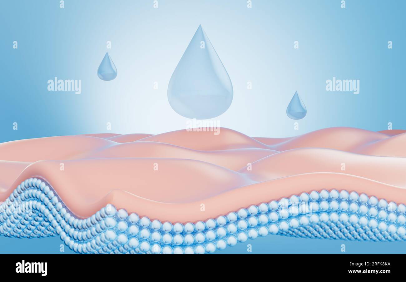 Cream and skin tissue, skin treatment, biology and medicine concept, 3d ...