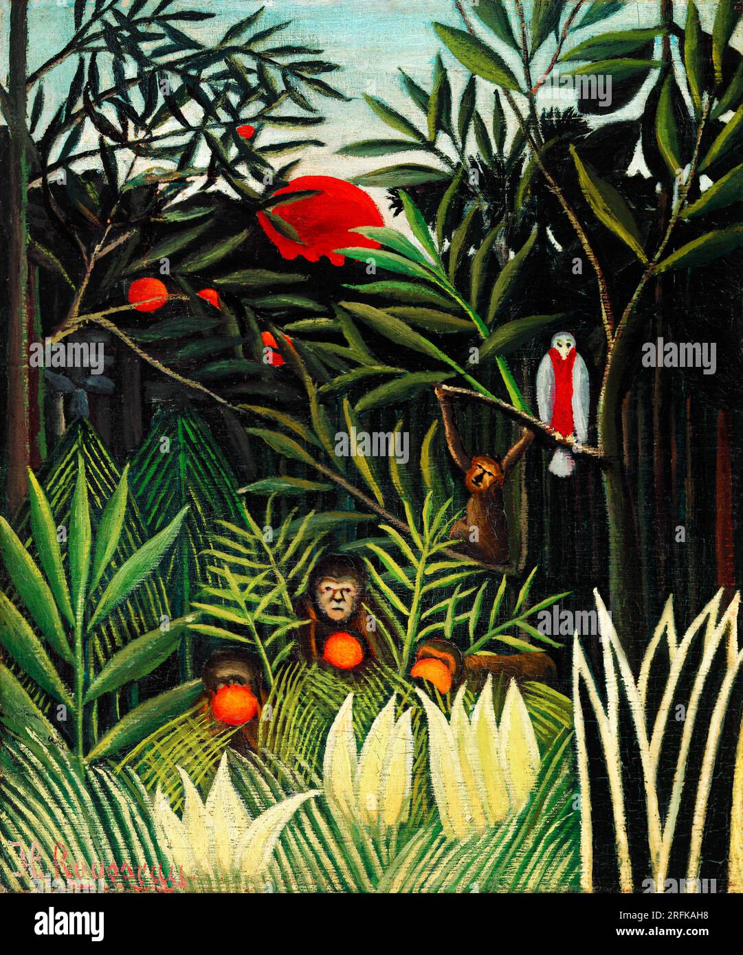 Tropical forest illustration hi-res stock photography and images - Alamy