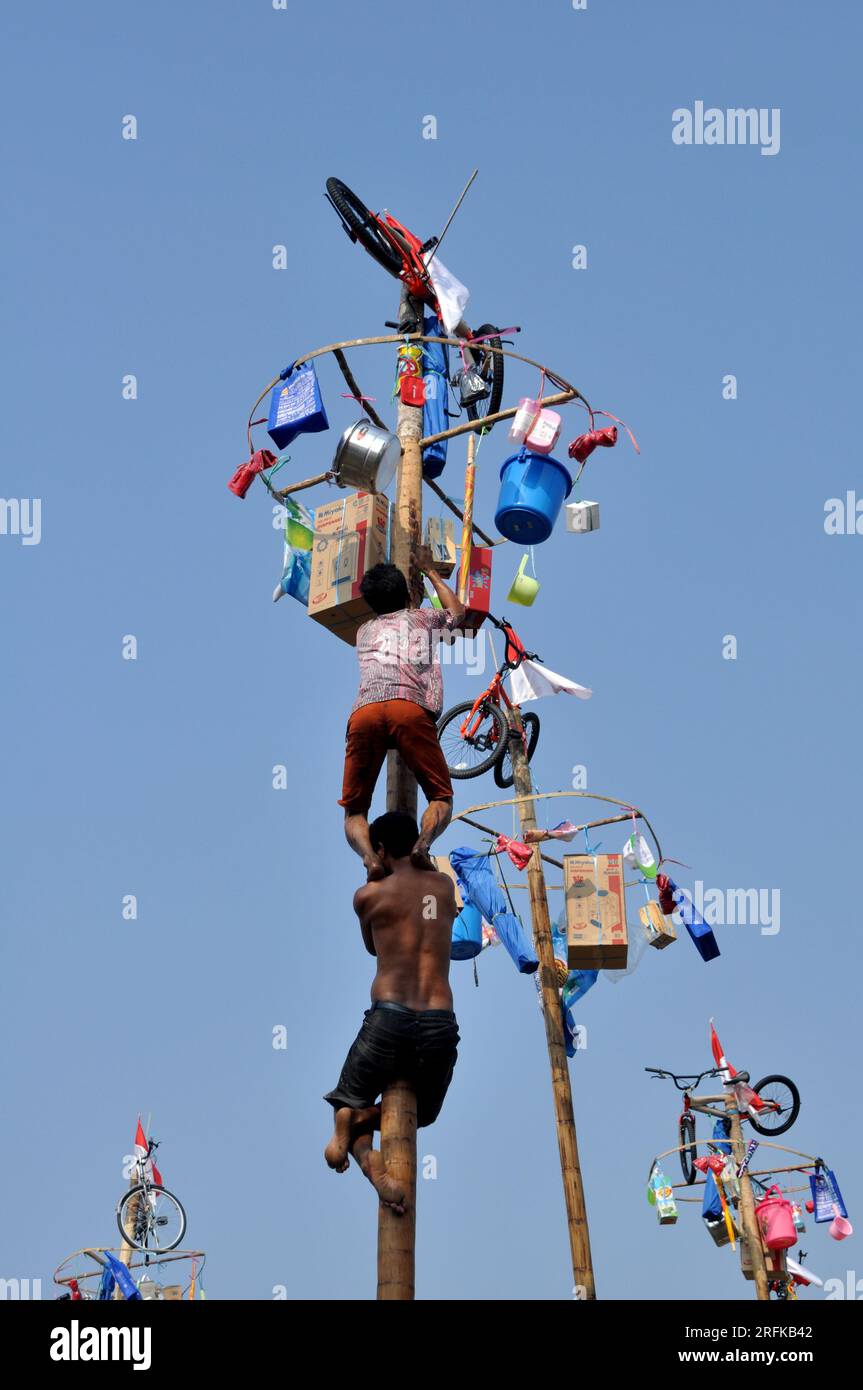 Jakarta, Indonesia - August 17, 2014 : Areca climbing competition event ...