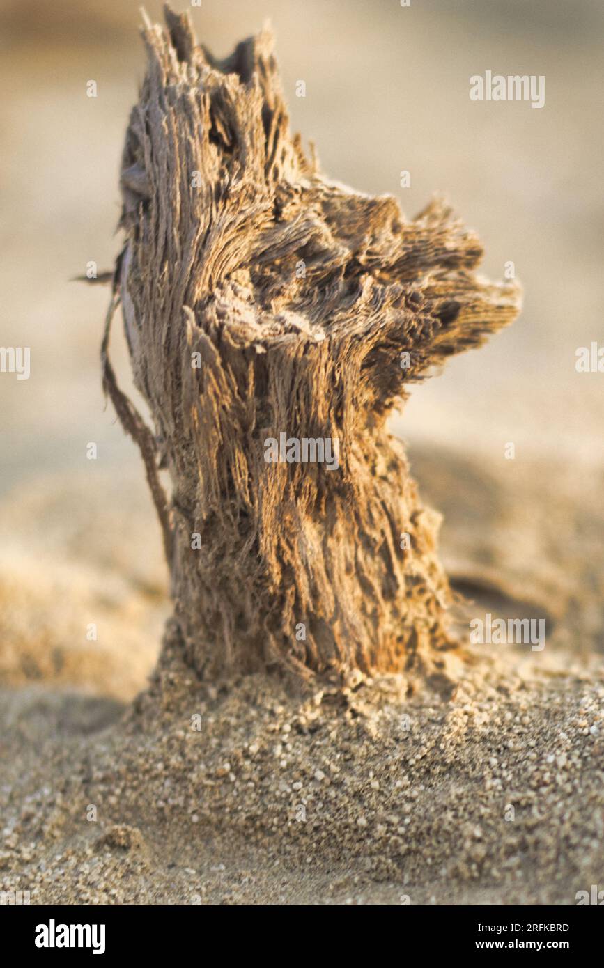 Golden water in the desert hi-res stock photography and images - Alamy