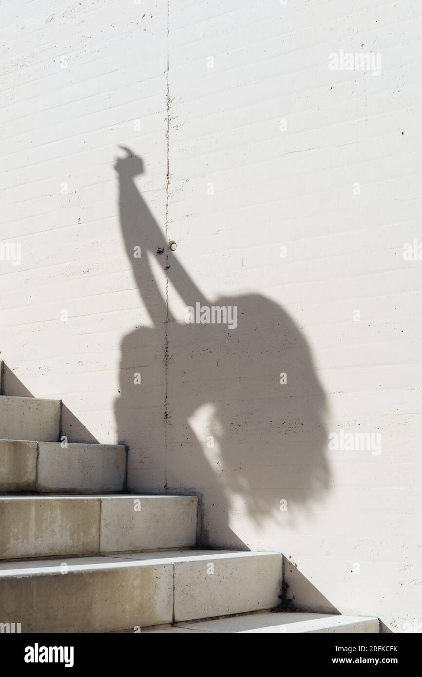 Female Shadow Silhouette On Stairs Stock Photo - Alamy