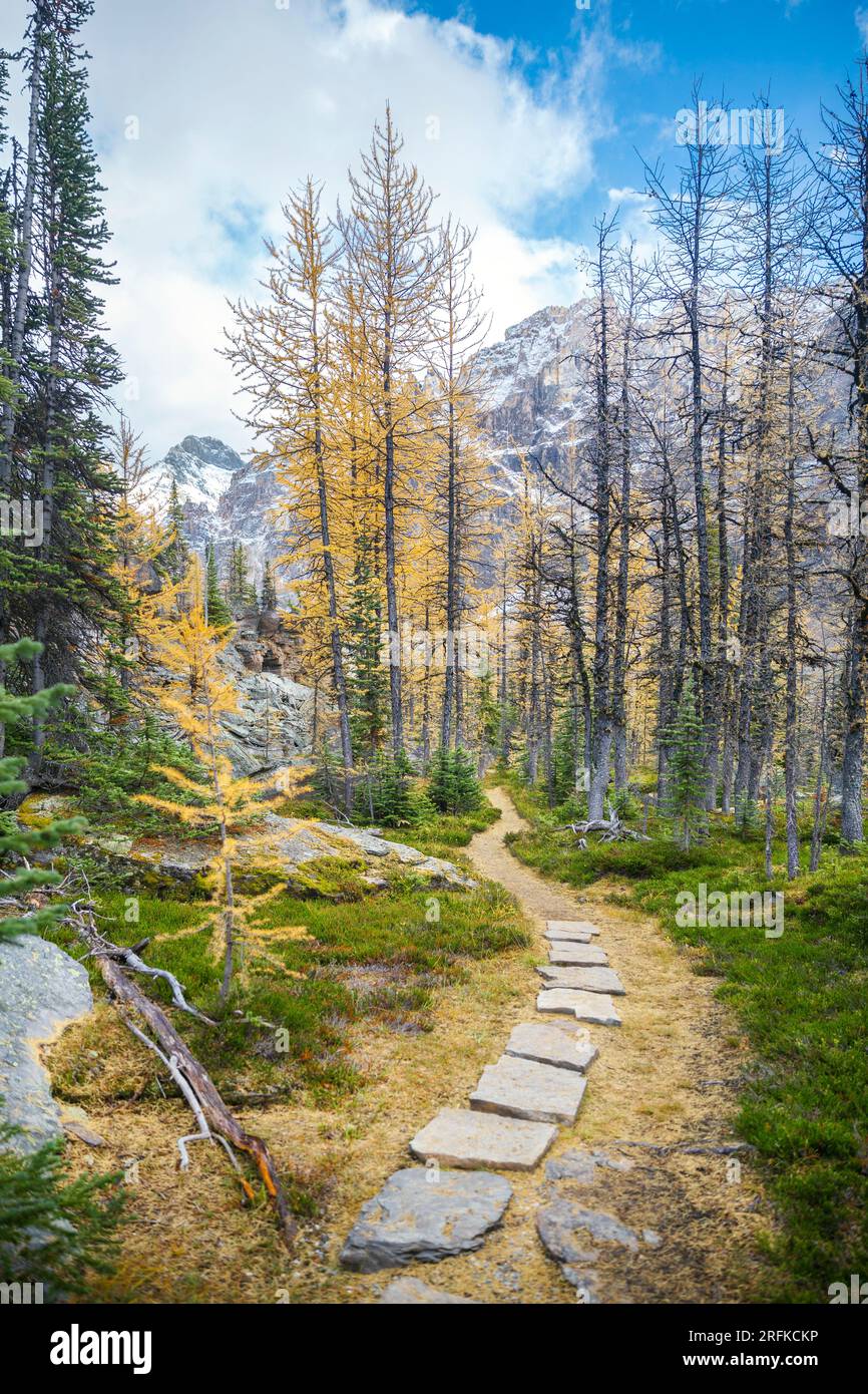 Alpine circuit hi-res stock photography and images - Alamy