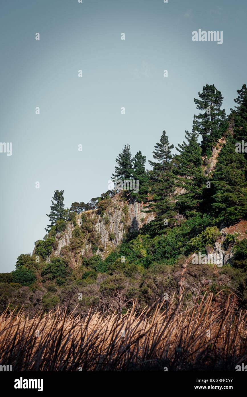 A hillside with trees and rocks displayed on it Stock Photo - Alamy
