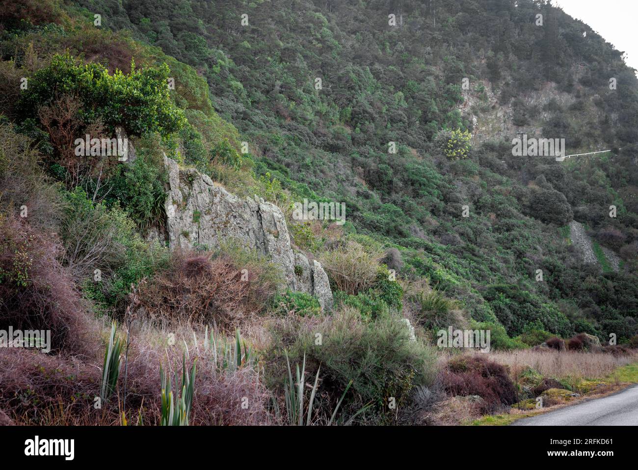 Surrounded by lush greenery hi-res stock photography and images - Alamy