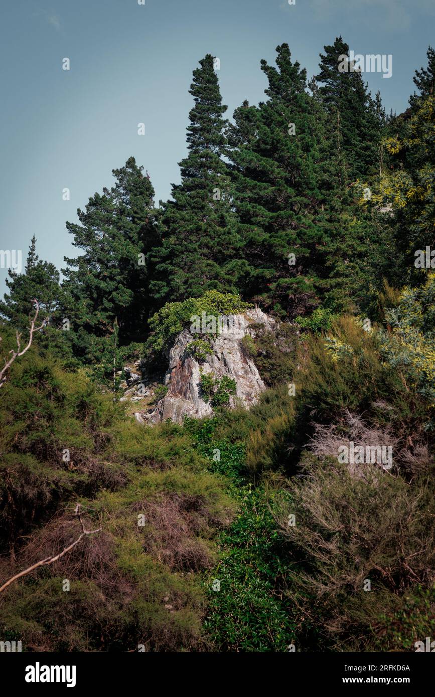 Landscape sea surrounded greenery hi-res stock photography and images ...