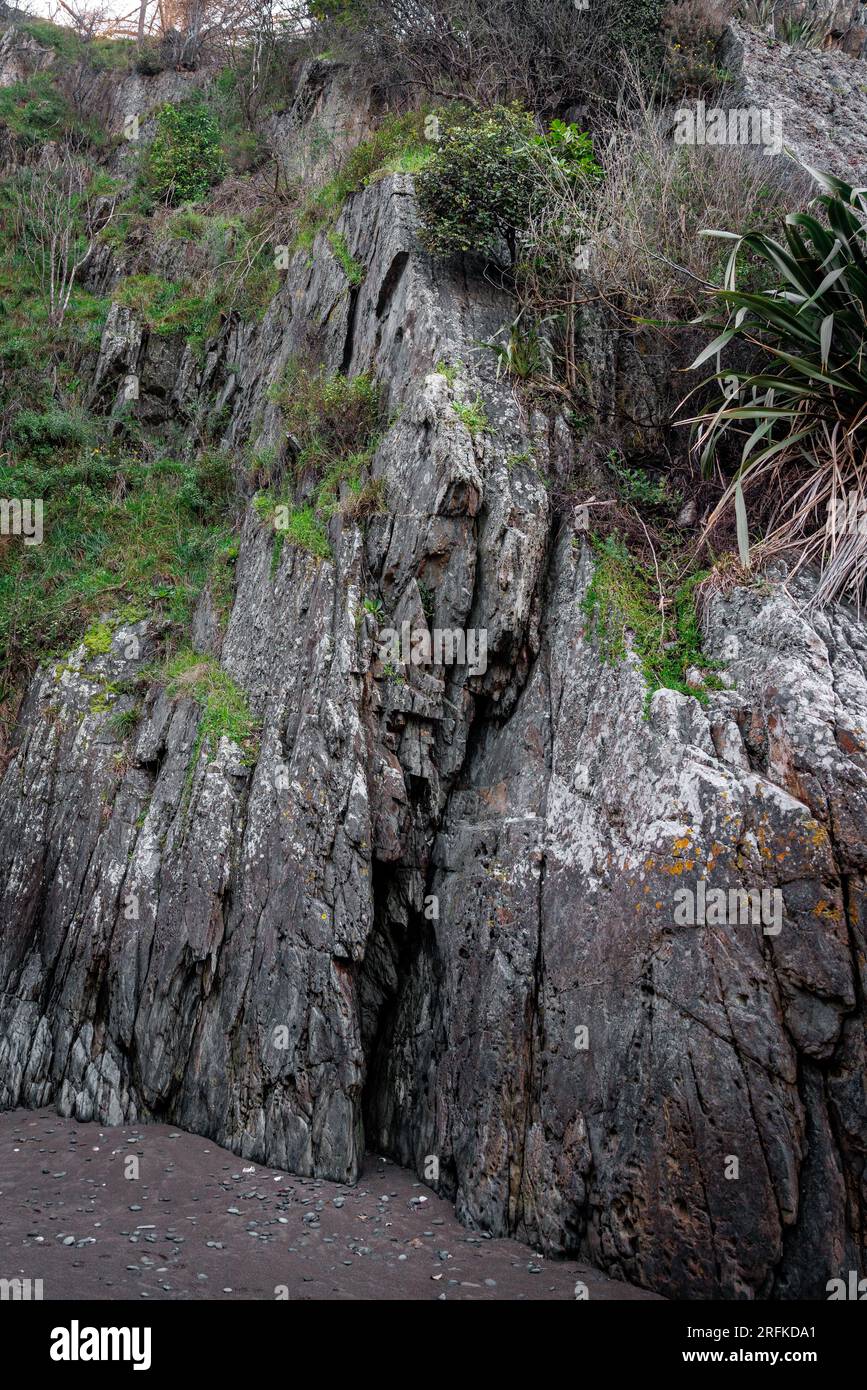 a steepy rocky cliff side with plant life located on Monkey Beach in ...