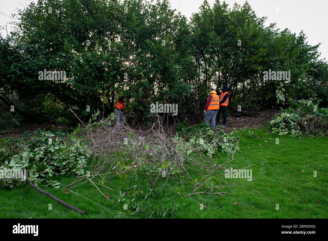 A community payback group are clearing an overgrown piece of land Stock ...