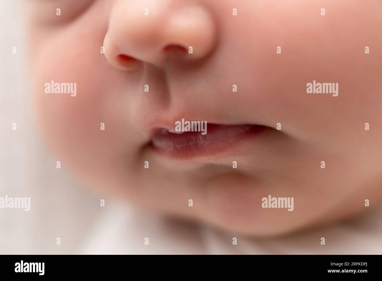 Nose details hi-res stock photography and images - Alamy