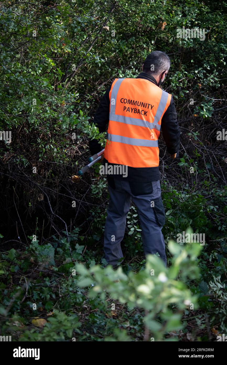 A community payback male from the back are clearing an overgrown piece ...