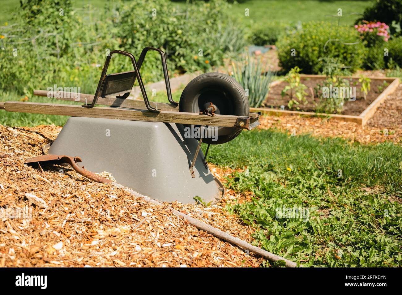 Wheelbarrow vegetable garden gardening hi-res stock photography and ...
