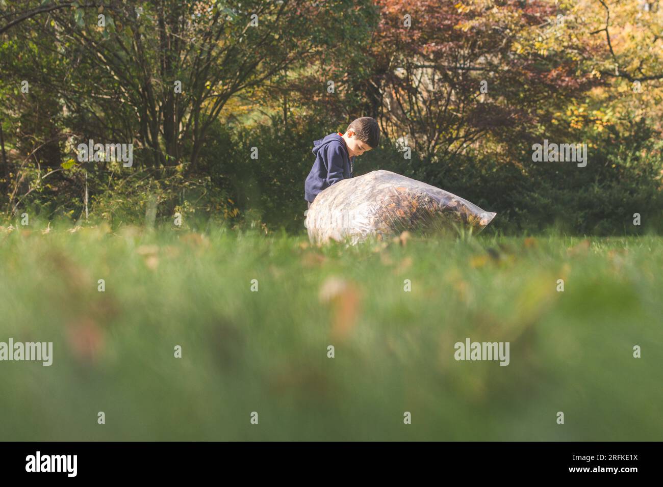 Young boy pulling a large bag of leaves in grassy yard Stock Photo - Alamy
