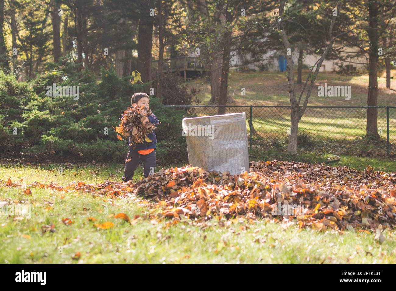 Young boy working to rake a pile of golden leaves in grassy yard Stock ...