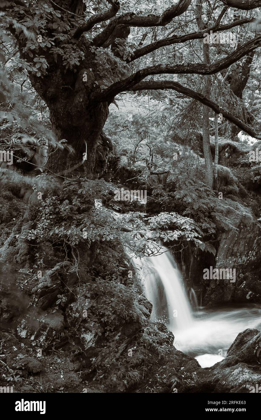 Rydall falls hi-res stock photography and images - Alamy