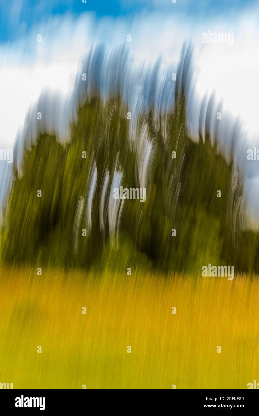 Intentional camera movement tree hi-res stock photography and images ...