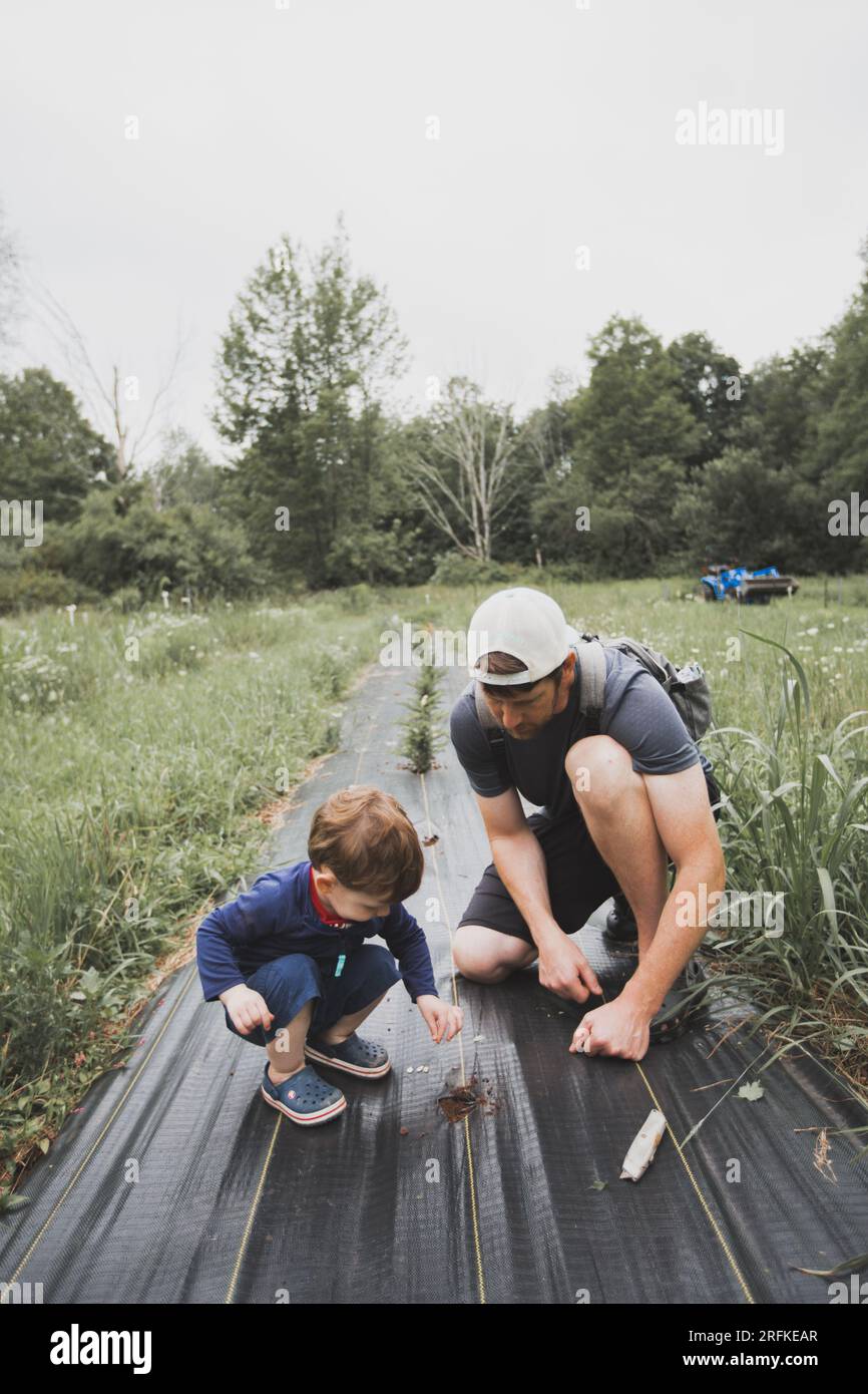 Father and Son bending down to plant seeds Stock Photo - Alamy