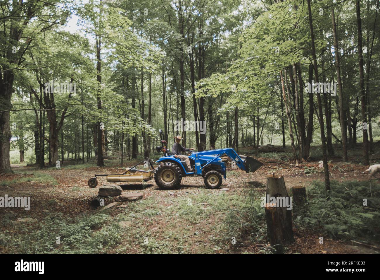 Farmer on Tractor riding through Forest Stock Photo - Alamy