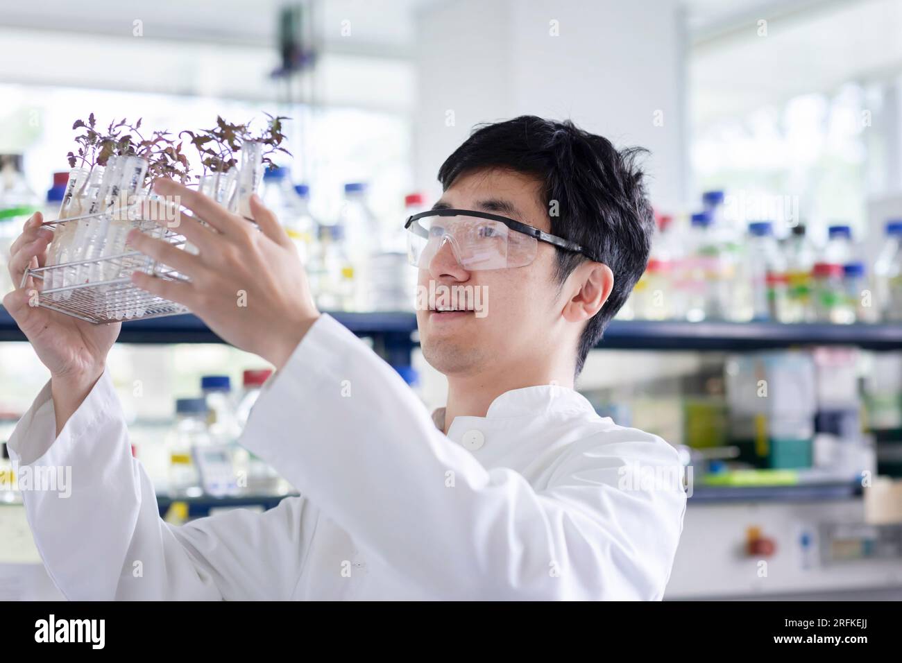 Scientist working science tools hi-res stock photography and images - Alamy