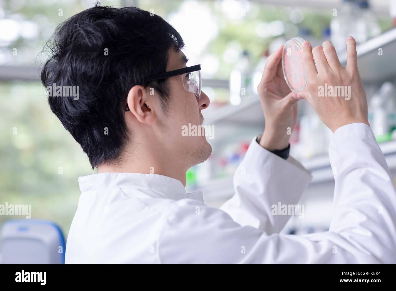 young scientist male chinese working in laboratory Stock Photo - Alamy