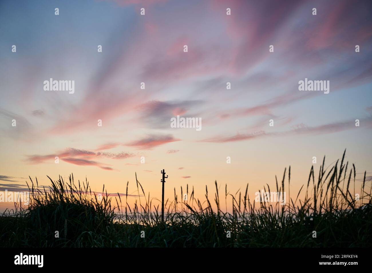 Pole under hi-res stock photography and images - Alamy