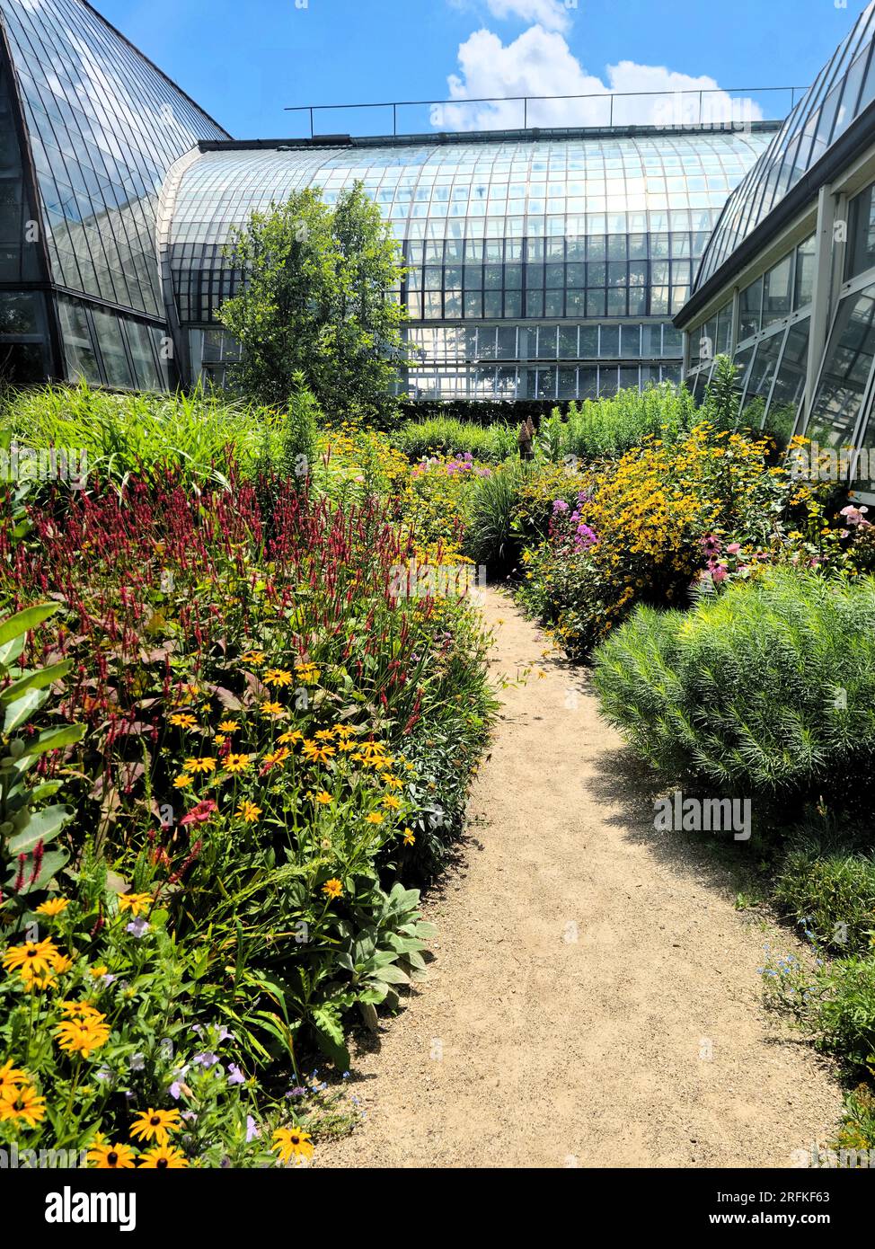 Path lined with flowers with a glass conservatory in the background ...
