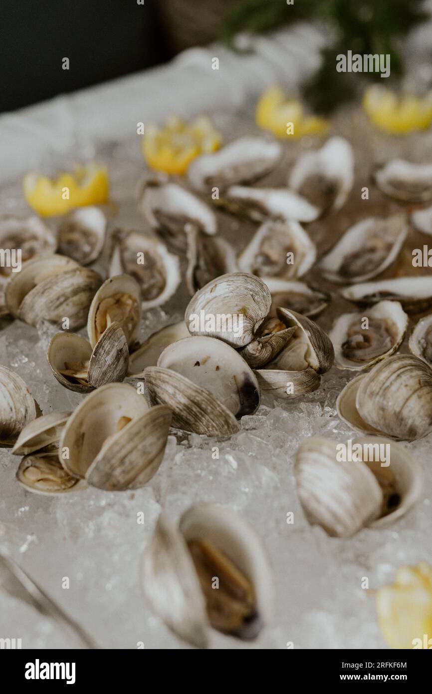 Open clams hi-res stock photography and images - Alamy