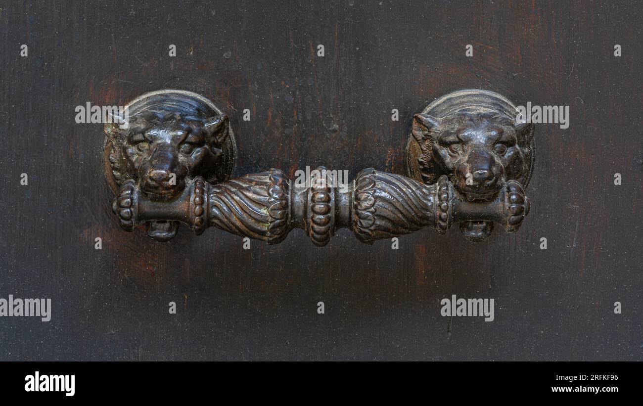 Closeup view of vintage bronze door handle with wolf heads on ancient ...