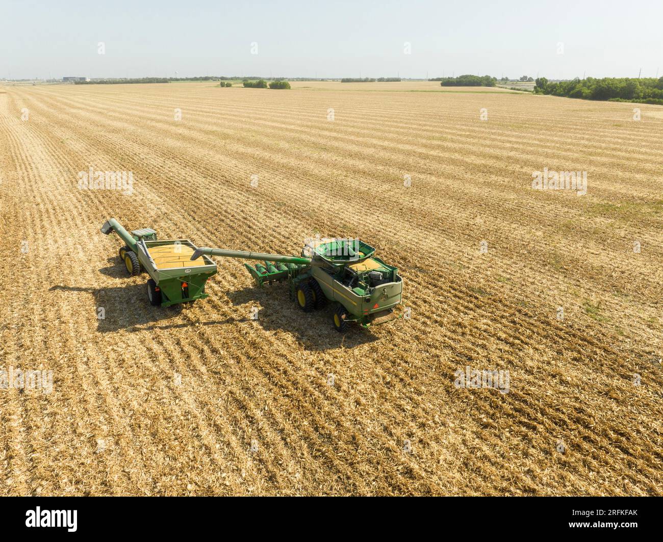 Combine harvesting corn Texas Hill Country Stock Photo - Alamy