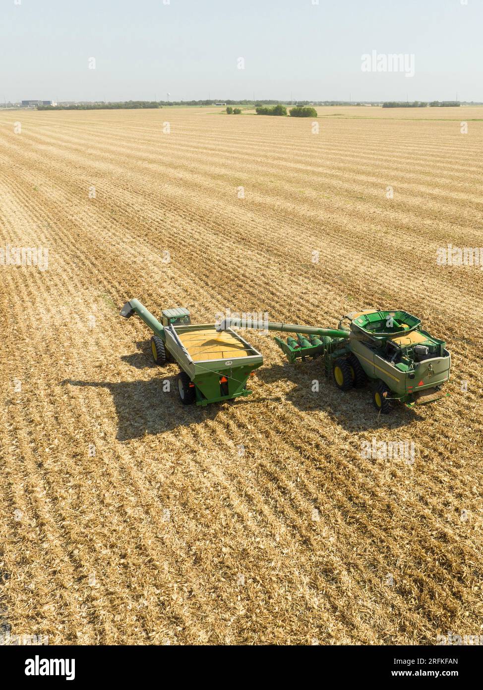 Combine harvesting corn Texas Hill Country Stock Photo - Alamy