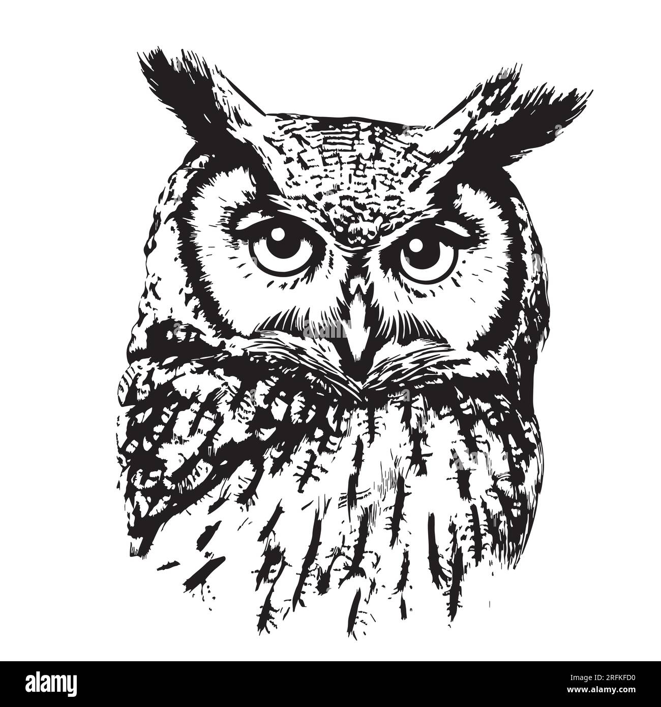 Black And White Owl Head Drawing
