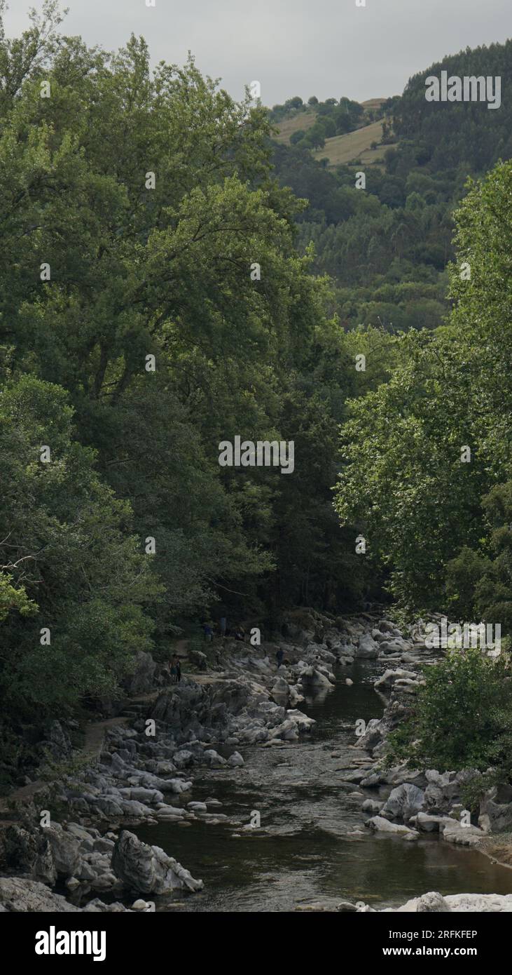 Ecosistema fluvial hi-res stock photography and images - Alamy