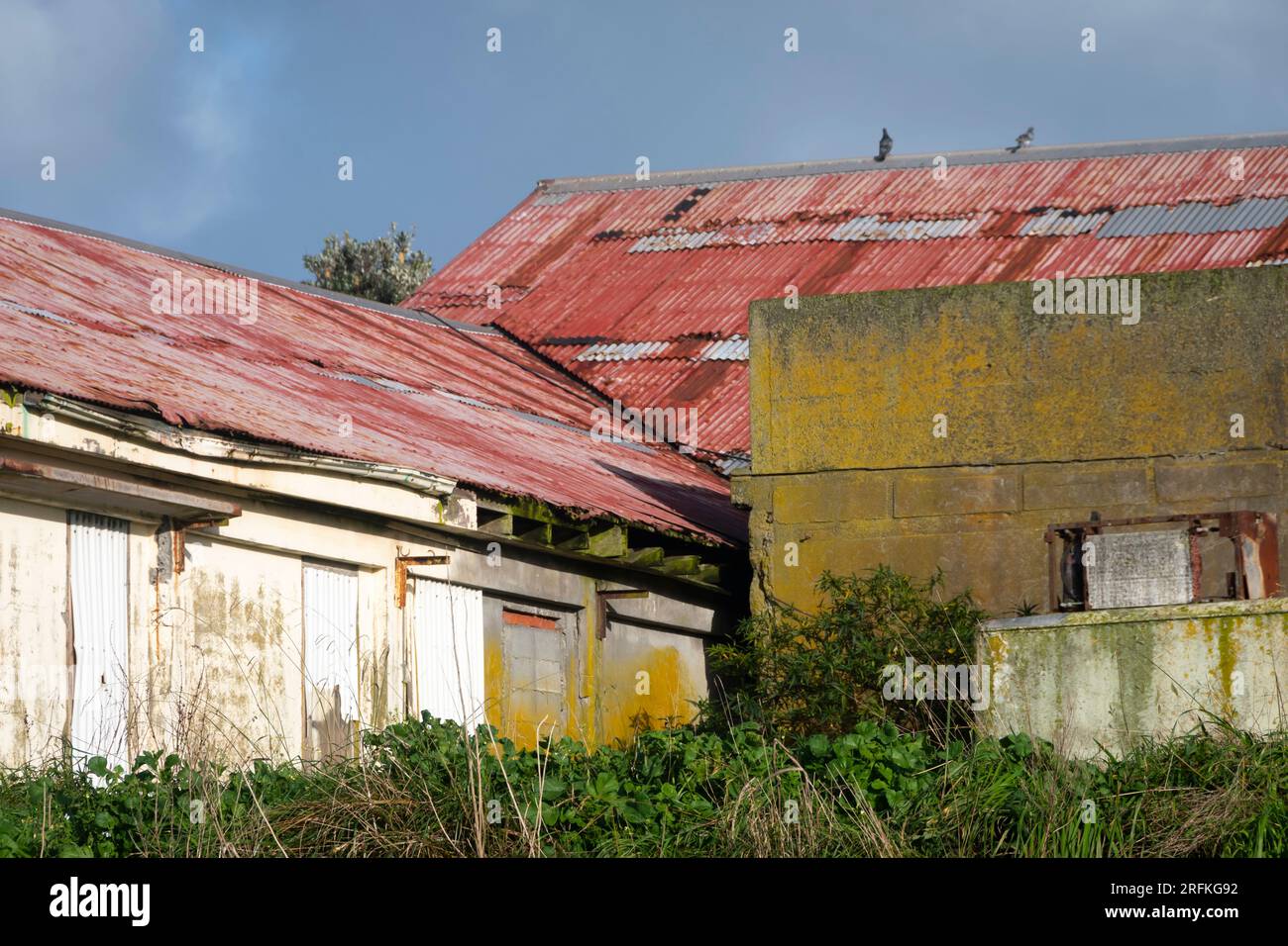 Taranaki, North Island, New Zealand Stock Photo - Alamy