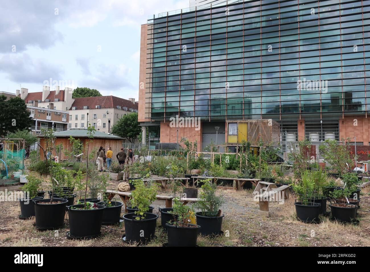 Sandwiched between the Crick Institute & the British Library, an acre ...