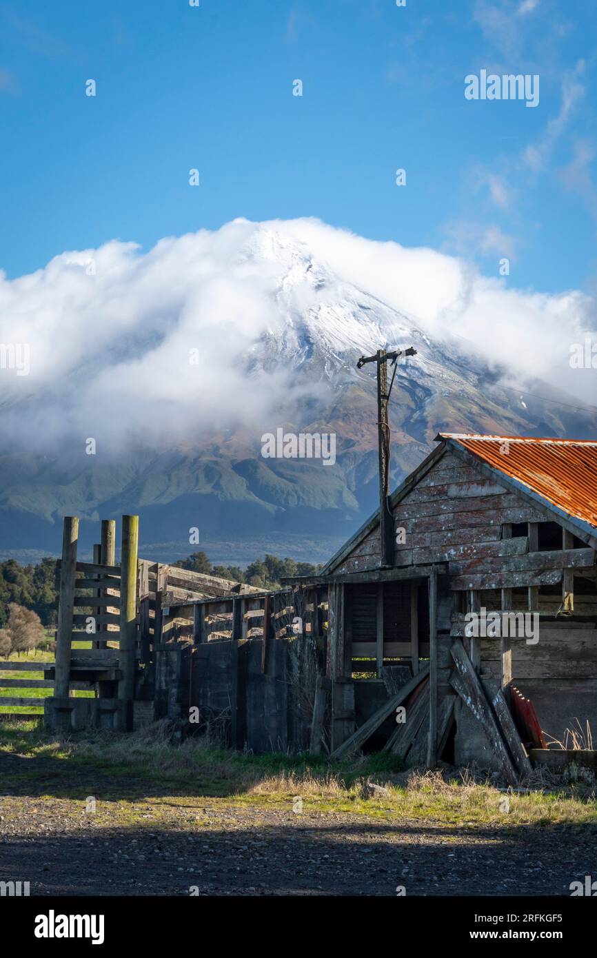Farm buildings and Mount Taranaki, North Island, New Zealand Stock ...