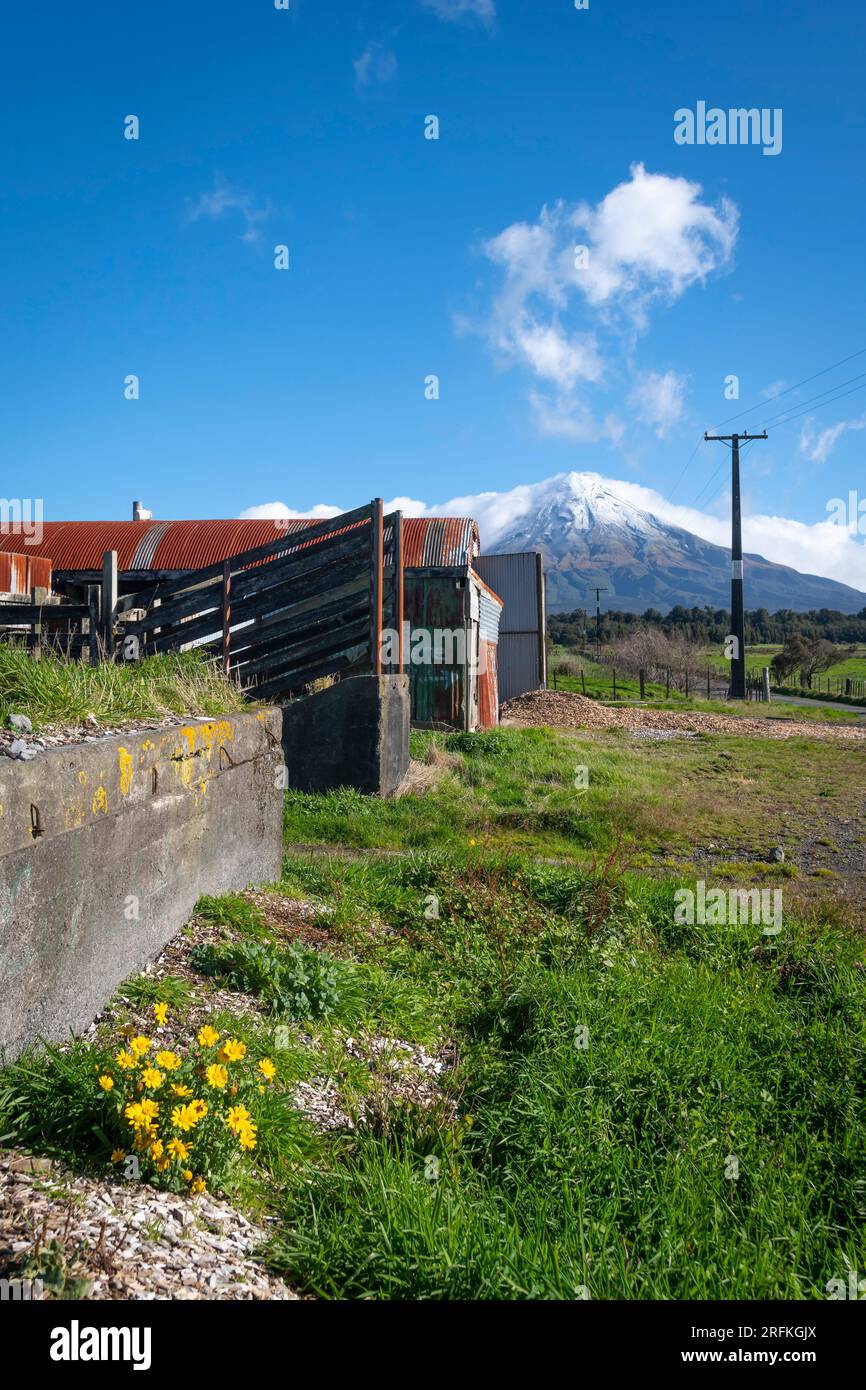 Mount taranaki farm hi-res stock photography and images - Alamy