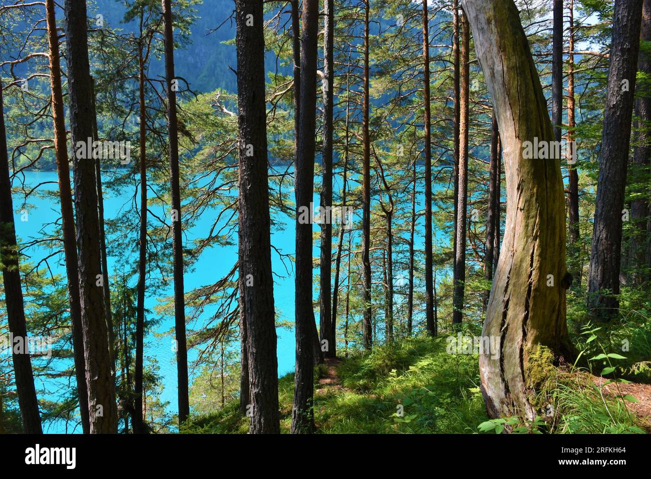 Hiking in weissensee austria hi-res stock photography and images - Alamy