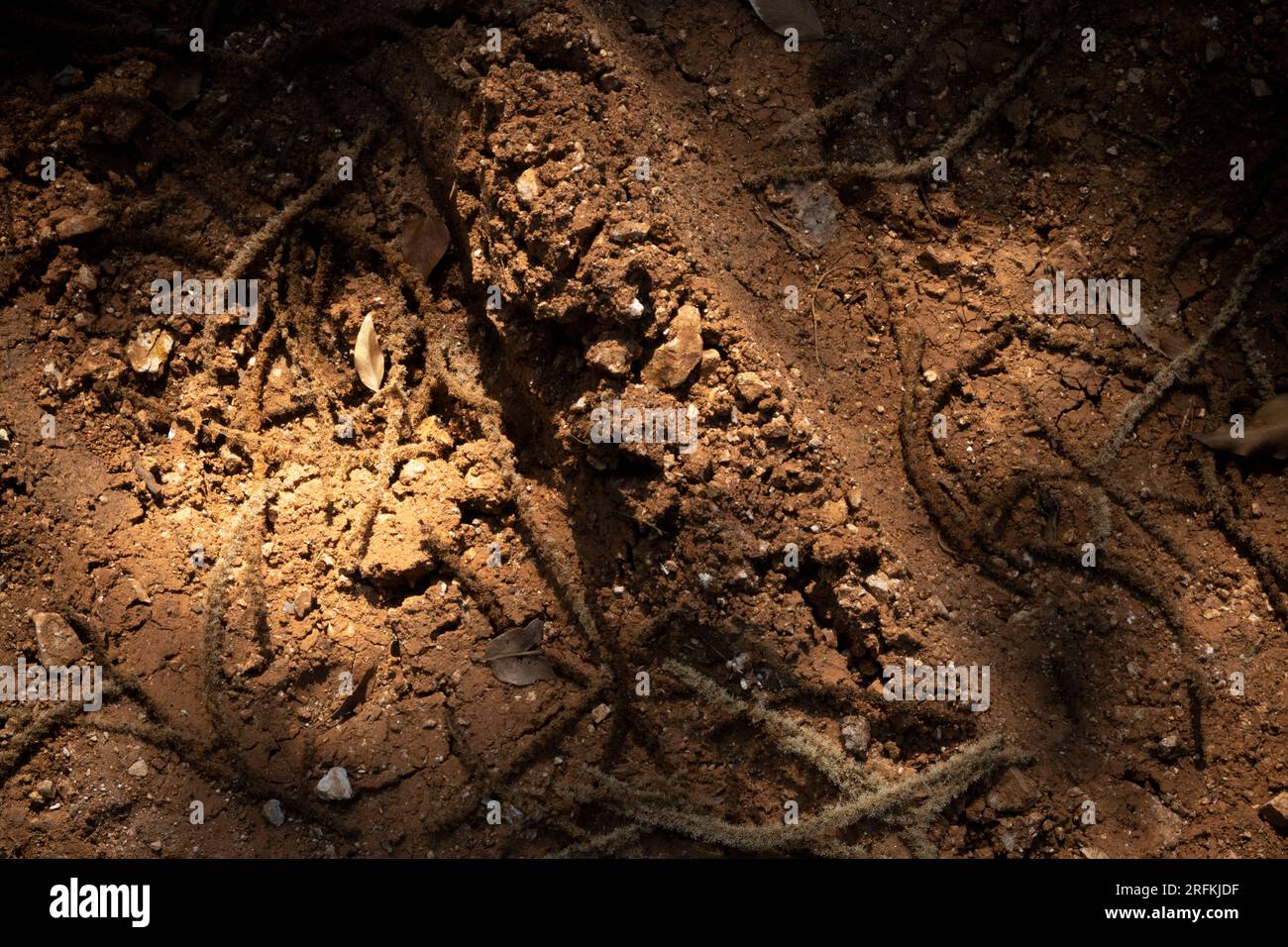 Red soil background with light shapes, natural rocky ground Stock Photo ...