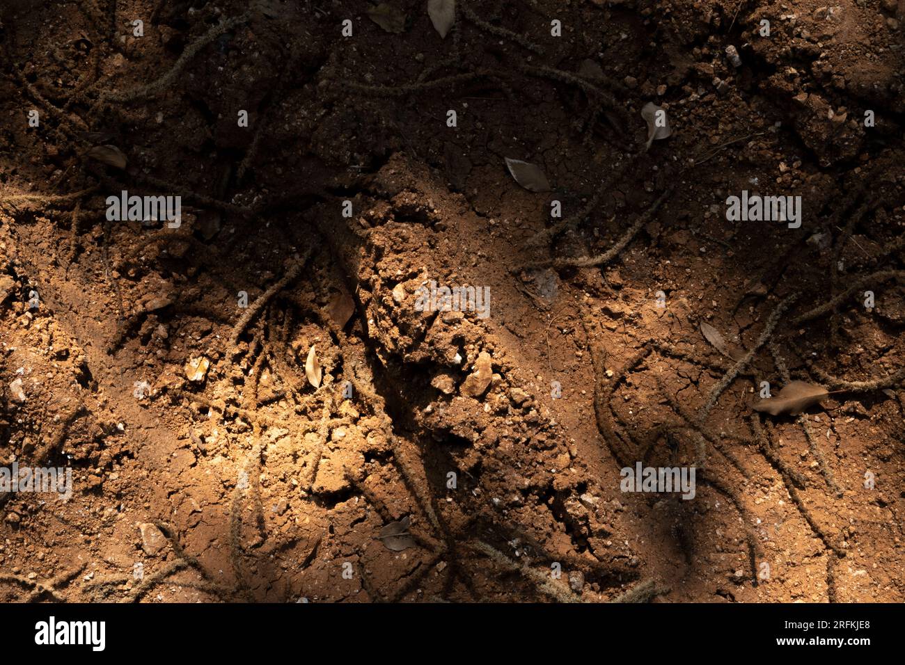 Red soil background with light shapes, natural rocky ground Stock Photo ...