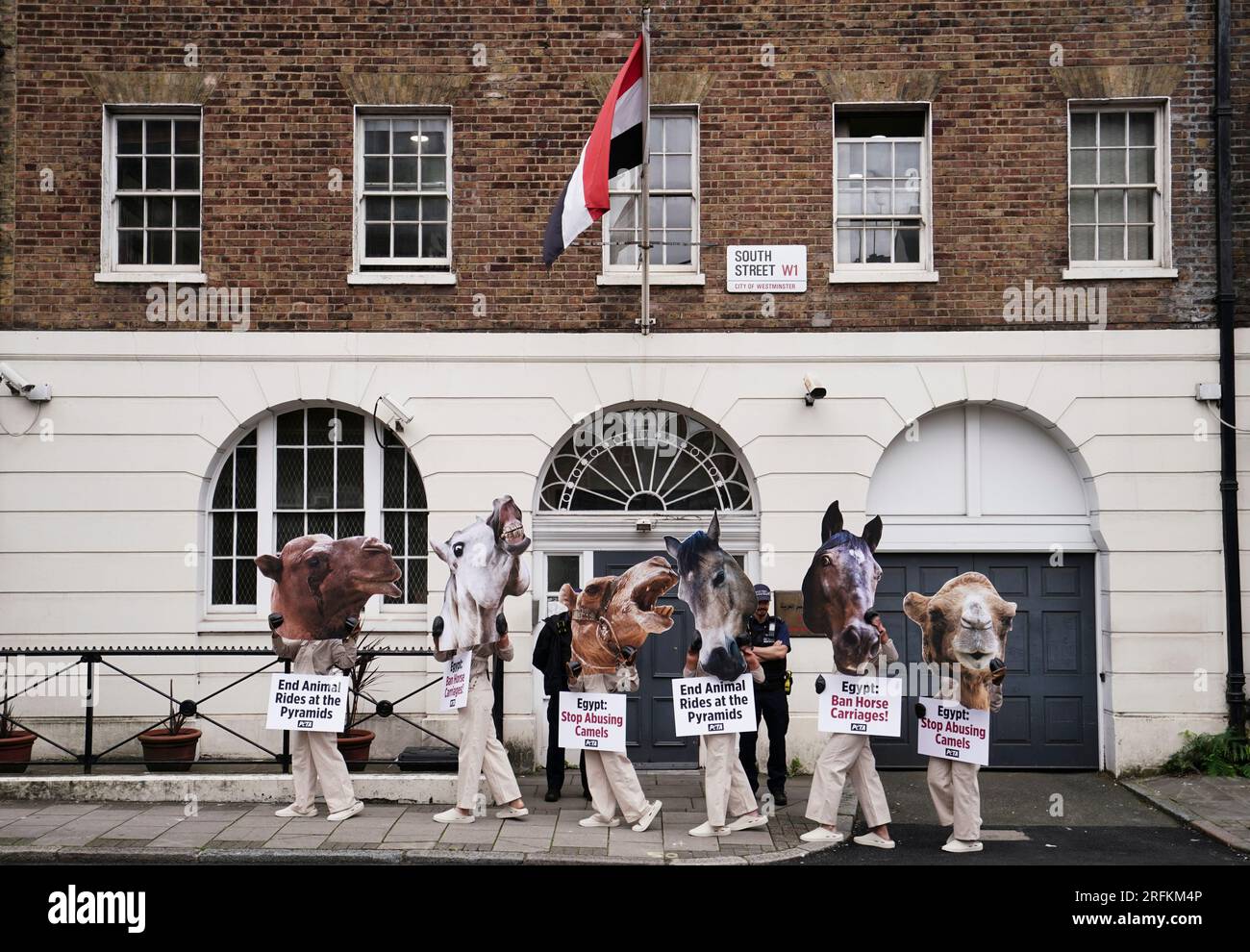 Activists from PETA wearing "hooves" and giant horse and camel masks ...